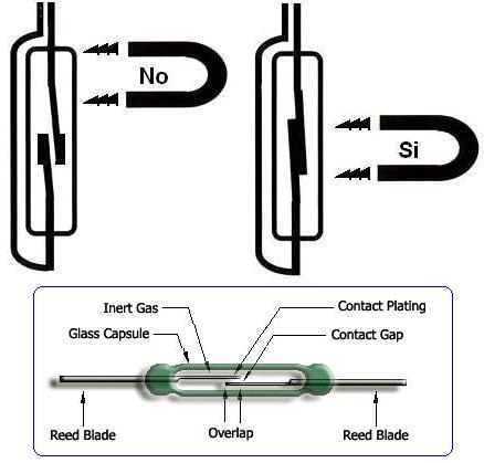 Que son los Interruptor magnético Reed-switch